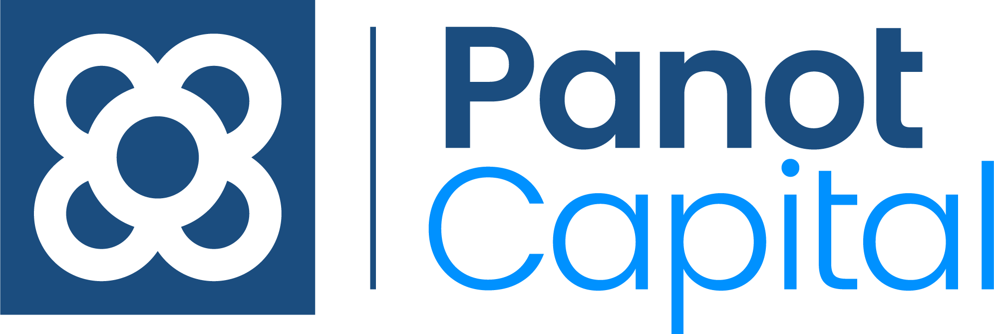 Panot Capital - Investing in Transformative Real Estate